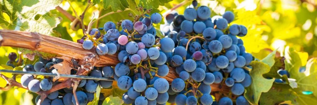 Die besten verfügbaren Hotels und Unterkünfte in der Nähe von La ...