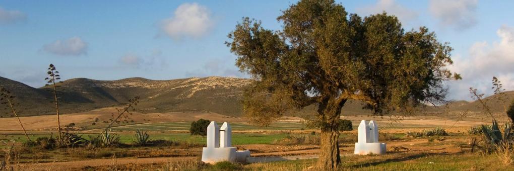 The best available hotels & places to stay near Olula del Río, Spain