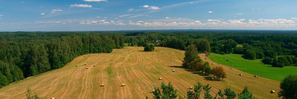 The best available hotels & places to stay near Laagri, Estonia