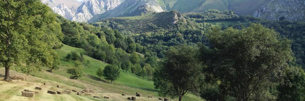 The best available hotels & places to stay near La Molina, Spain