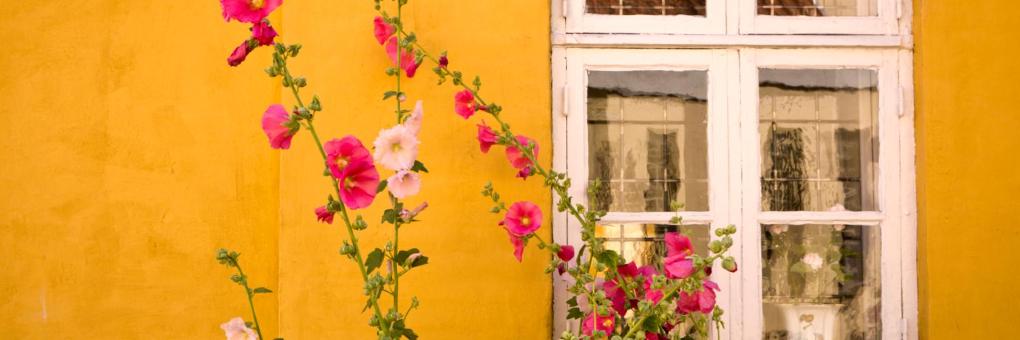 The best available hotels & places to stay near Bjerringbro, Denmark