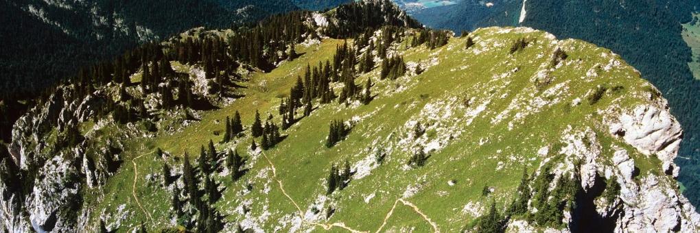 Les 10 meilleurs hôtels à Allemont (à partir de € 88)