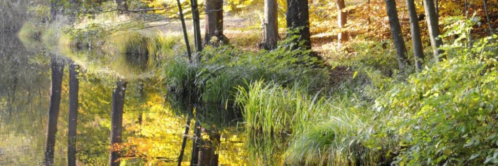 The 10 best hotels & places to stay in Roßdorf, Germany - Roßdorf hotels