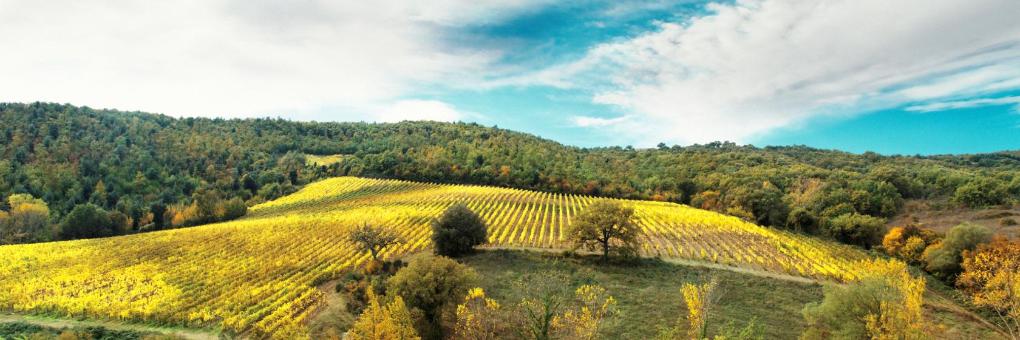 The 10 best hotels & places to stay in Strada, Italy - Strada hotels