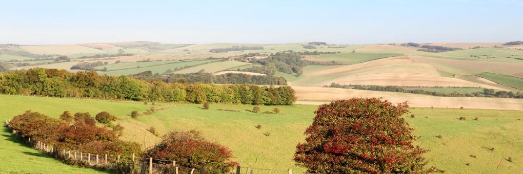 10 Best Sedlescombe Hotels, United Kingdom (From $106)