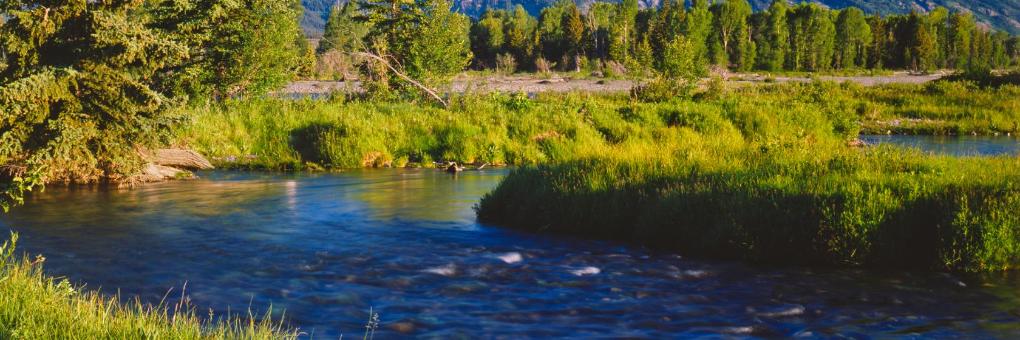 The best available hotels & places to stay near Hoback, WY