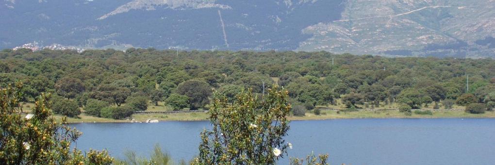 The best available hotels & places to stay near Carucedo, Spain