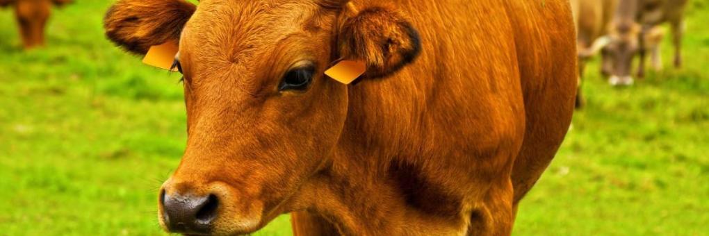 2 Hotels in Escobedo, - Booking.com