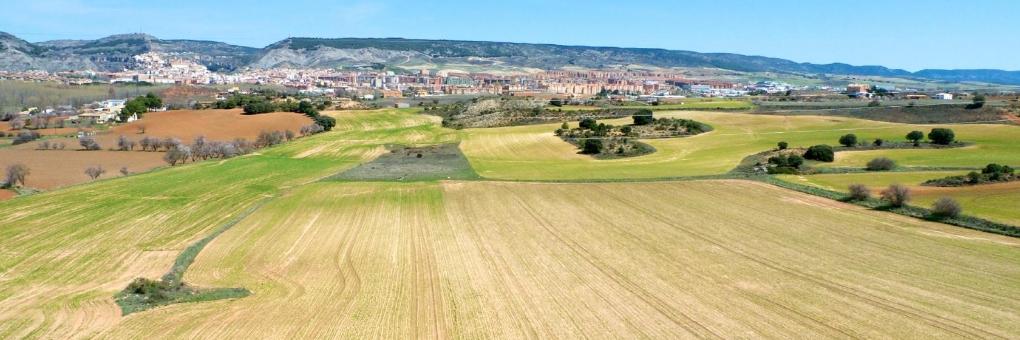 The best available hotels & places to stay near Vivar del Cid, Spain