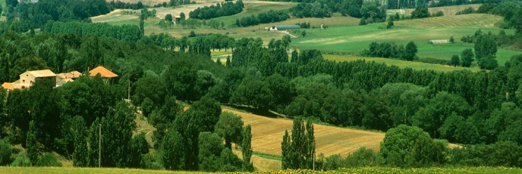 Les 10 meilleurs hôtels à Peypin (à partir de € 86)