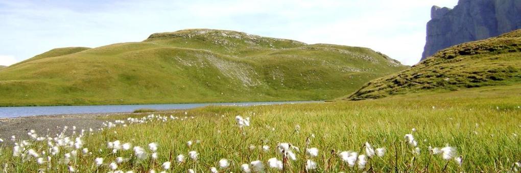 The 10 best hotels & places to stay in Verchaix, France - Verchaix hotels