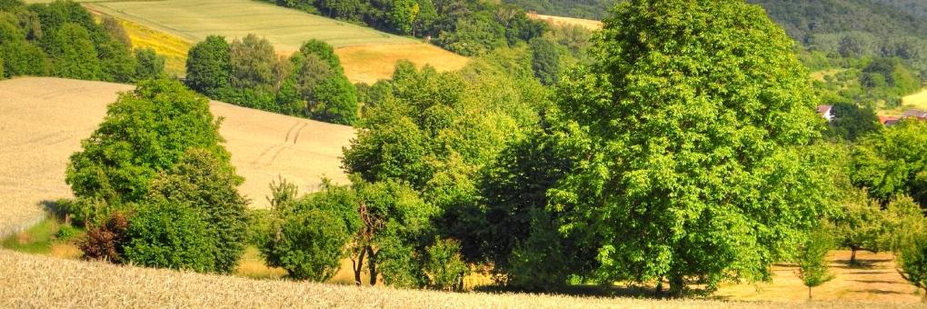 The 10 best hotels & places to stay in Rodenbach, Germany - Rodenbach ...