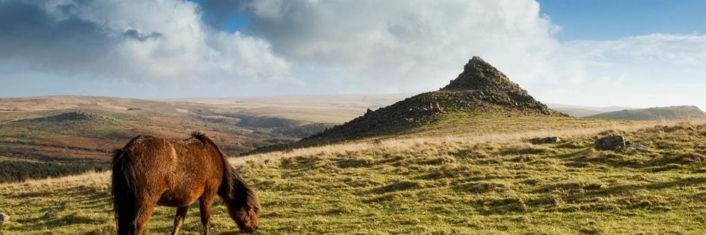 The 10 best hotels in Bovey Tracey, Devon - Cheap Bovey Tracey hotels