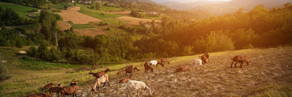 I migliori hotel e alloggi disponibili nei pressi di Montafia - hotel ...