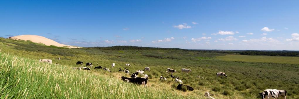 The best available hotels & places to stay near Tårs, Denmark