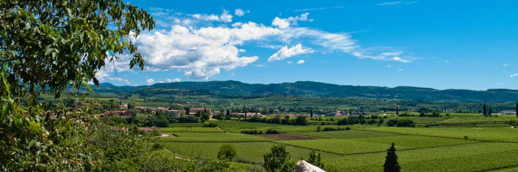 10 Best Pescantina Hotels, Italy (From $192)