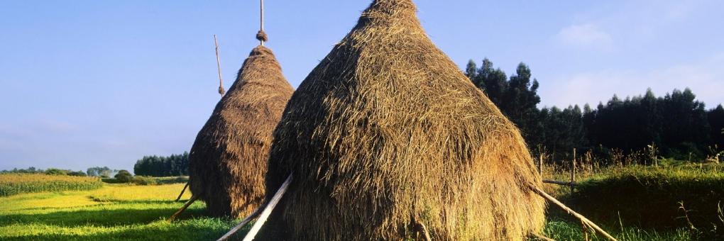 The 10 best hotels & places to stay in Siero, Spain - Siero hotels