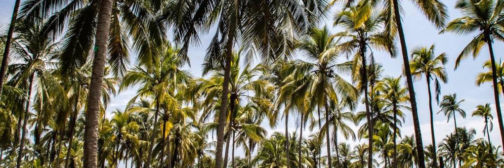 Los 10 mejores hoteles de Guachaca, Colombia (desde € 40)
