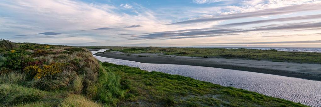 The 10 Best Copalis Beach Hotels (From $159)