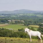 Best time to visit Narberth, United Kingdom