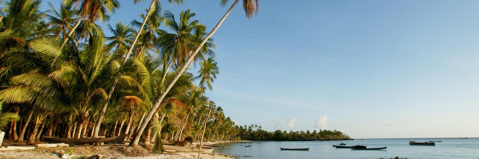 Hoteles baratos cerca de Wanci, Indonesia - Dónde dormir cerca de Wanci