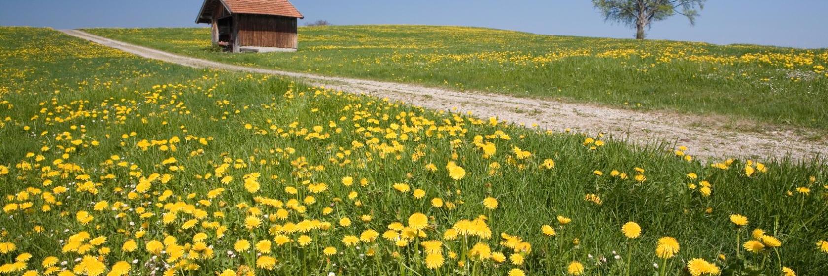 The best available hotels & places to stay near Motten, Germany