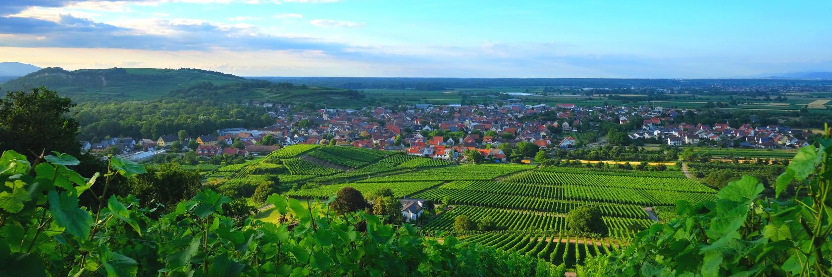 Die 10 besten Hotels in Sasbach am Kaiserstuhl (Ab € 75)