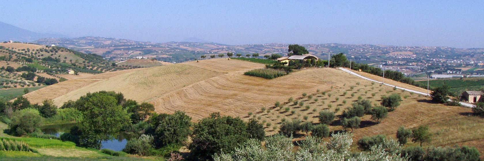 The best available hotels & places to stay near Notaresco, Italy