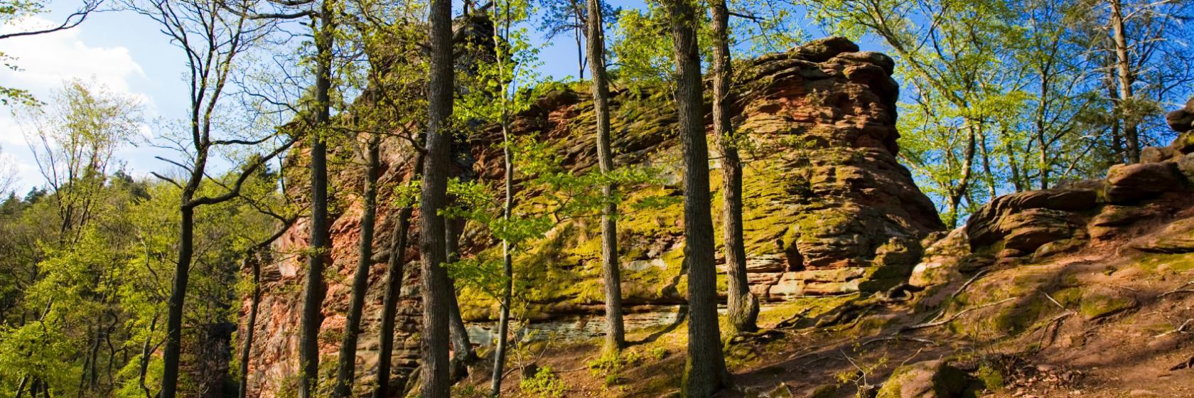 The best available hotels & places to stay near Rodalben, Germany