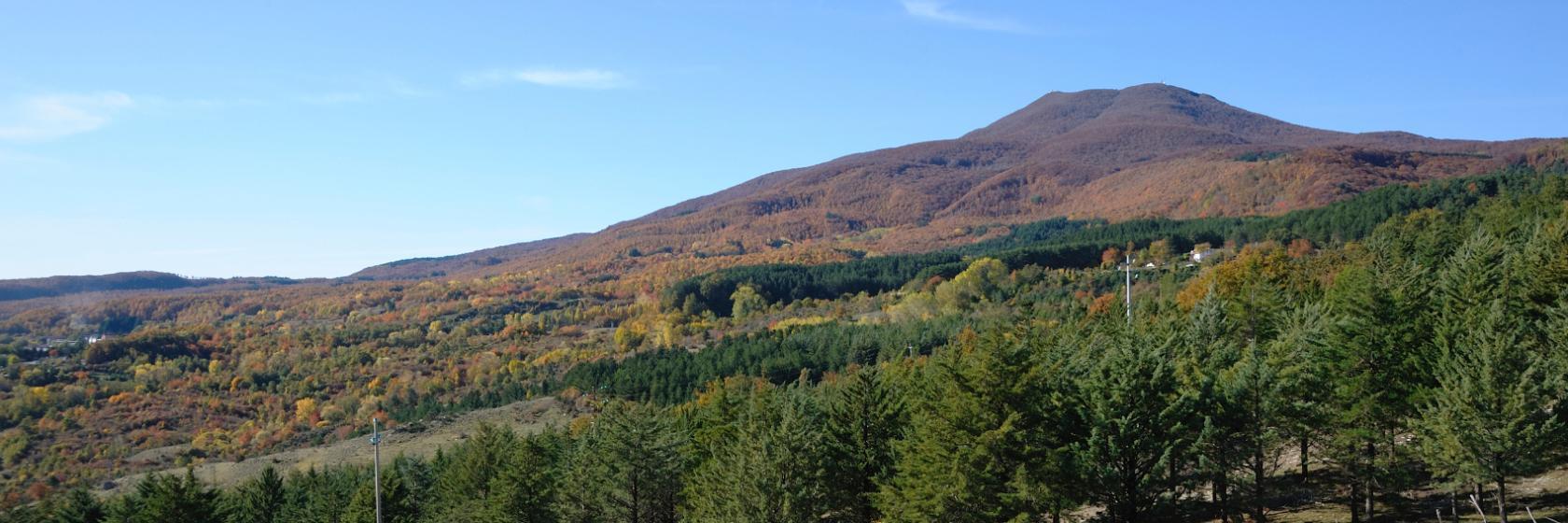 I migliori hotel di Castel Giorgio (da € 319)