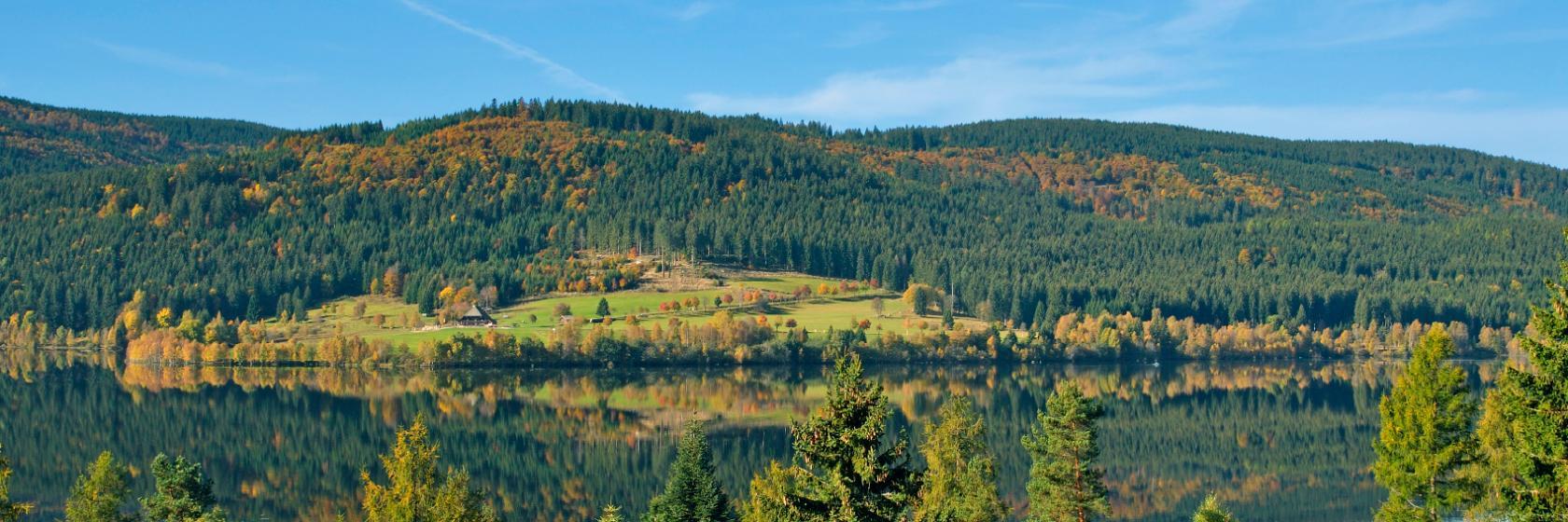 10 Best Bonndorf im Schwarzwald Hotels, Germany (From $88)