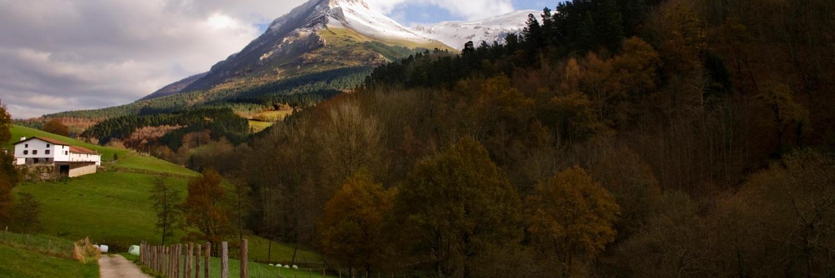 Hoteles baratos cerca de Zaldibia, País Vasco - Dónde dormir en Zaldibia