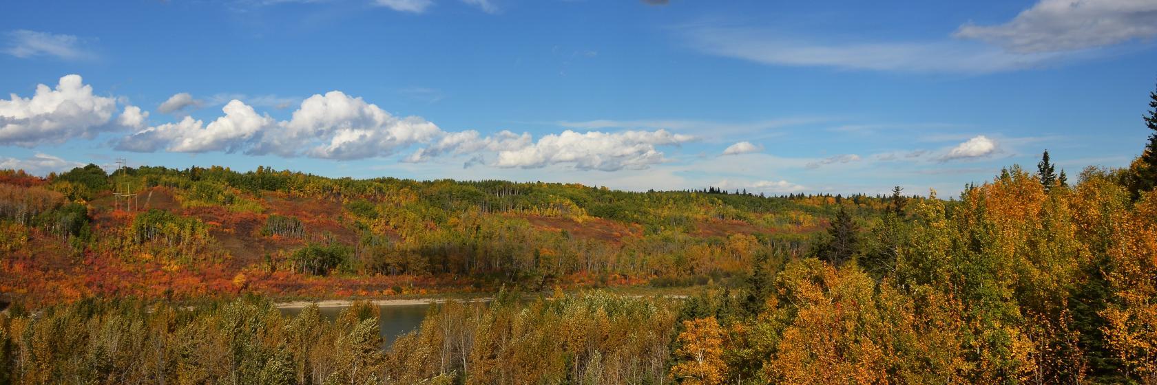 The best available hotels & places to stay near Devon, Canada