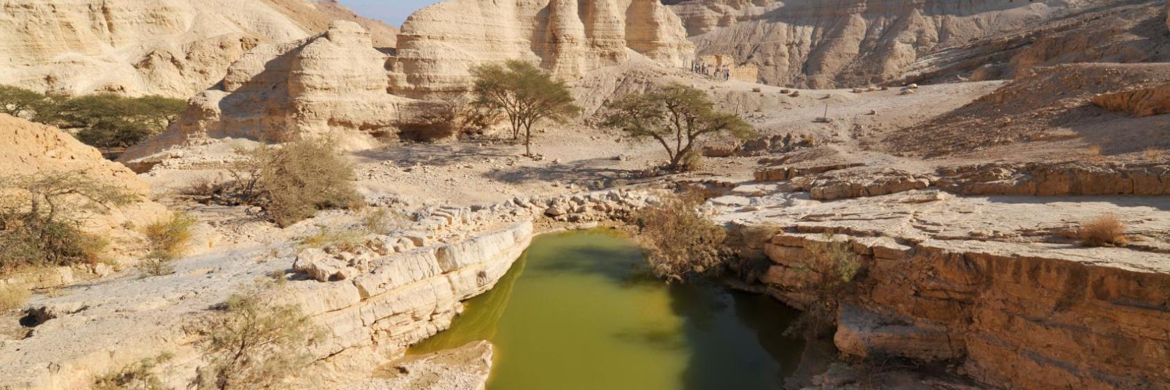 The 10 best hotels & places to stay in Neve Zohar, Israel - Neve Zohar ...