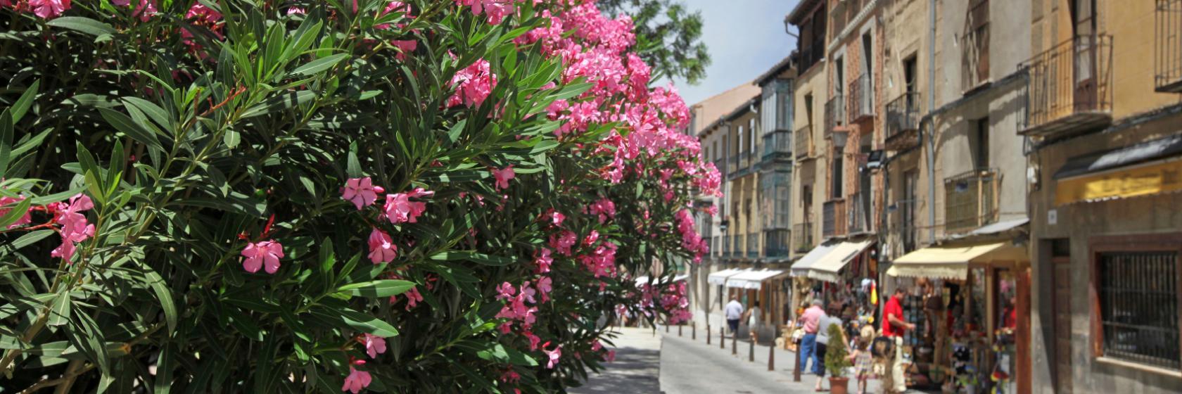 The 10 best hotels & places to stay in San Rafael, Spain - San Rafael ...