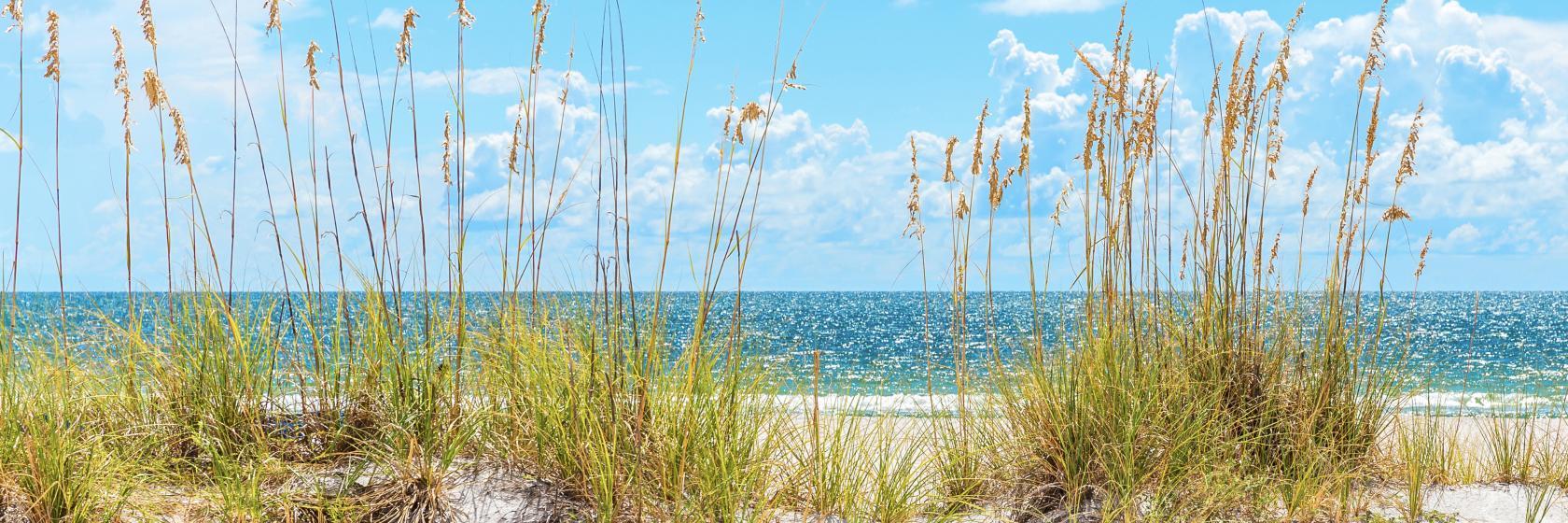 The 10 Best Butler Beach Hotels (From $129)