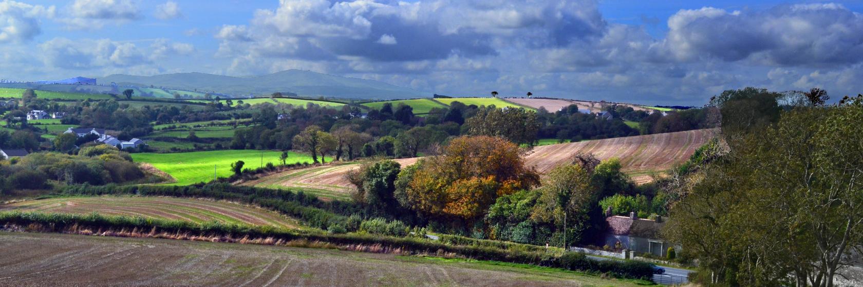 The 10 best hotels in Downpatrick, Down County - Cheap Downpatrick hotels