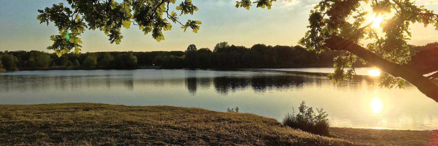 The best available hotels & places to stay near Heesch, Netherlands