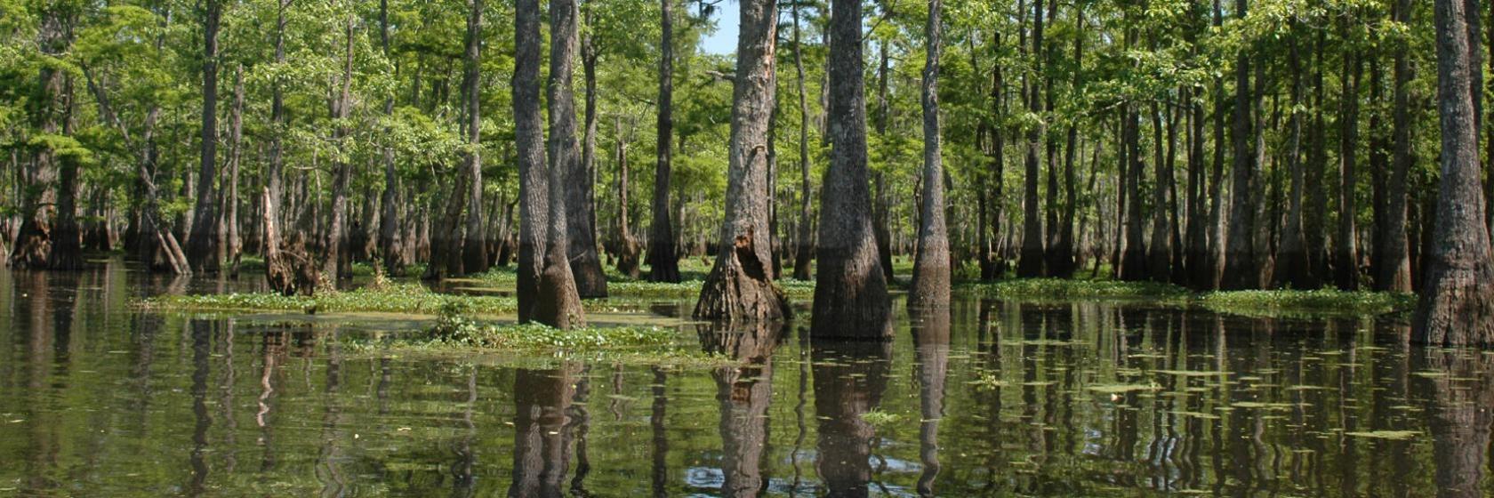 The 10 Best Opelousas Hotels (From $68)