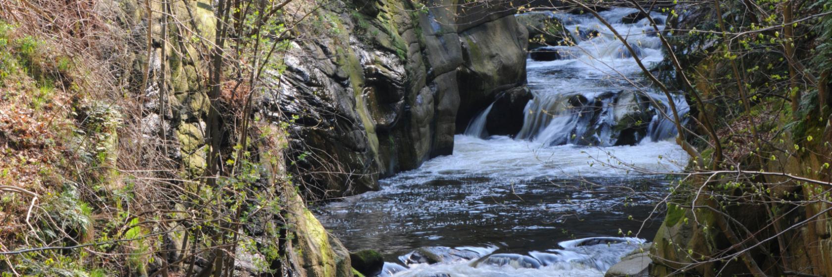 The 10 best hotels & places to stay in Tanne, Germany - Tanne hotels