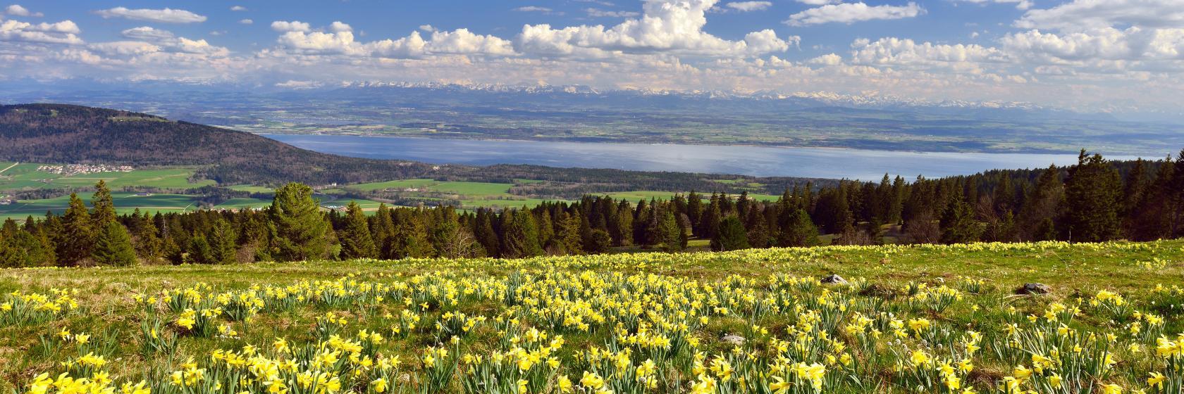 The best available hotels & places to stay near Boudry, Switzerland