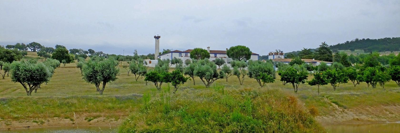 The best available hotels & places to stay near Fortios, Portugal