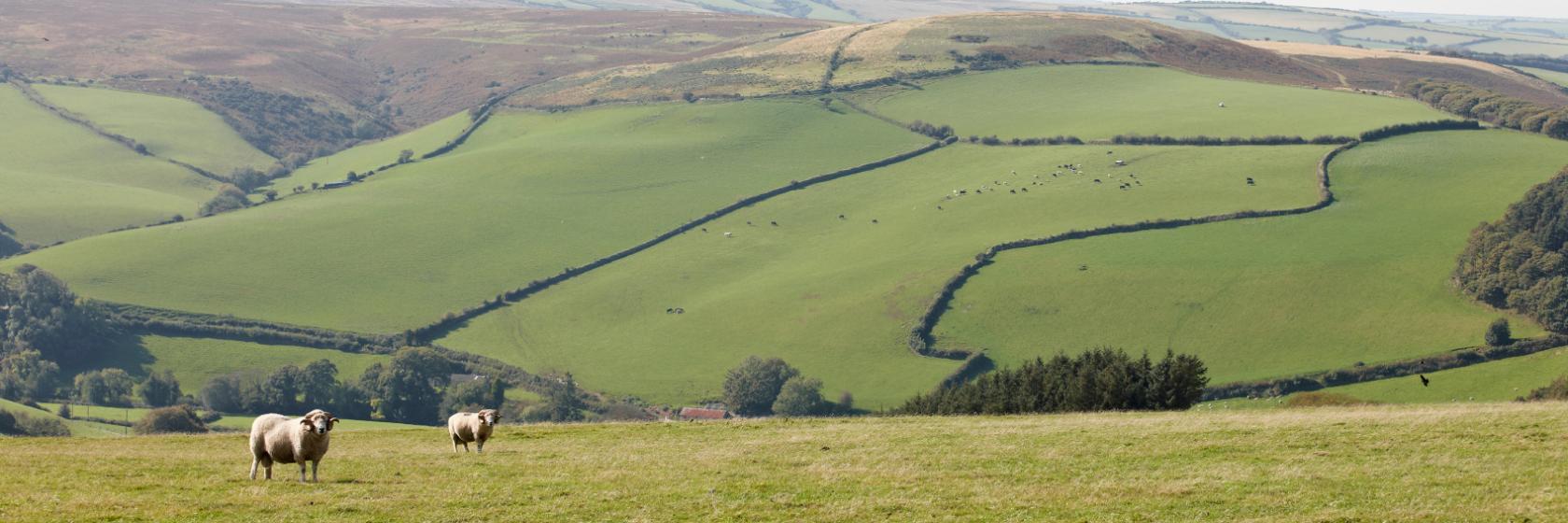 The 10 best hotels in Parracombe, Devon - Cheap Parracombe hotels