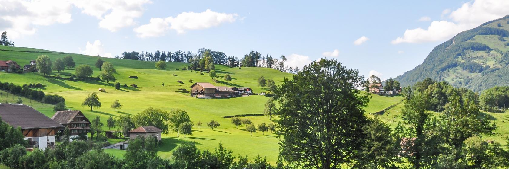 The 10 best hotels near Arth-Goldau in Goldau, Switzerland