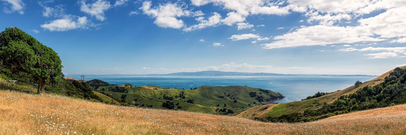 The 10 best hotels & places to stay in Tapu, New Zealand - Tapu hotels