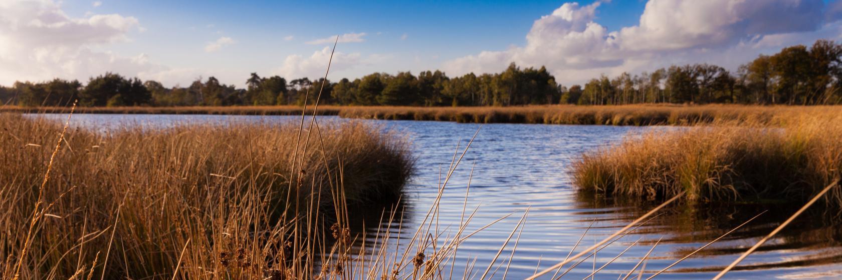 The 10 best hotels & places to stay in Boxtel, Netherlands - Boxtel hotels