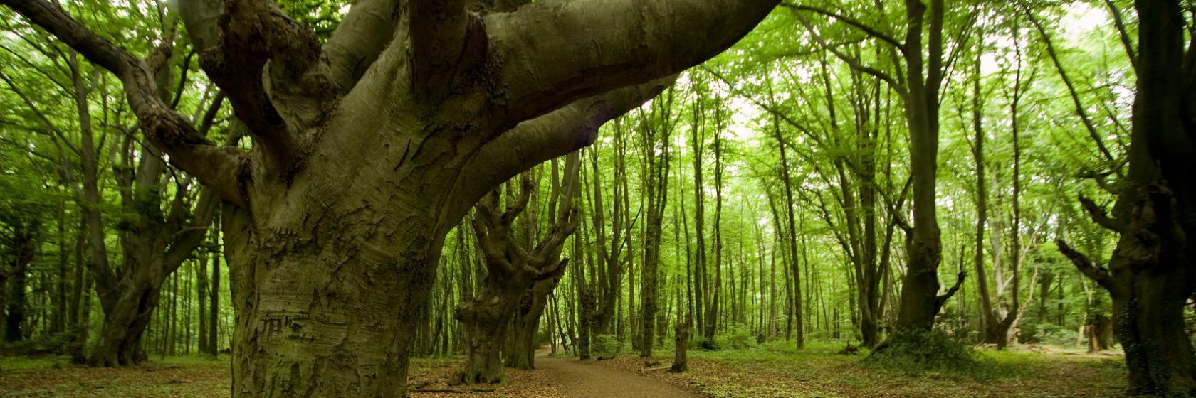 The best available hotels & places to stay near Asbach, Germany