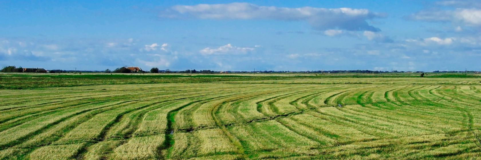 The best available hotels & places to stay near Videbæk, Denmark