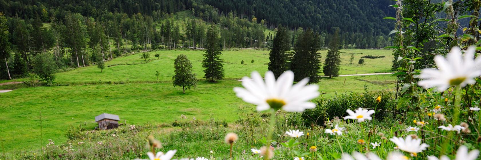 The best available hotels & places to stay near Strass im Attergau, Austria