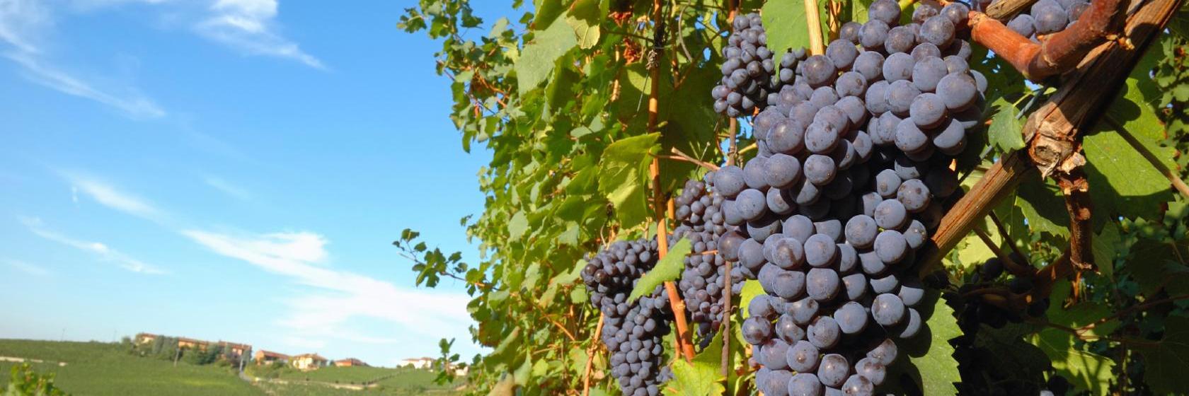 The best available hotels & places to stay near Gradil, Portugal